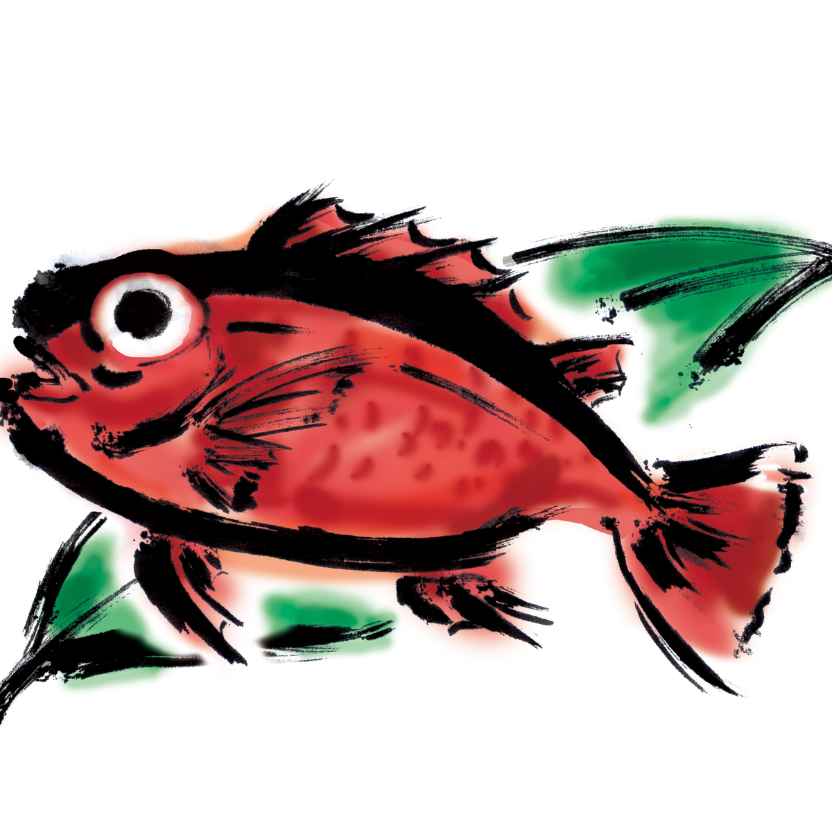 HOW SPLENDID WAS THIS?