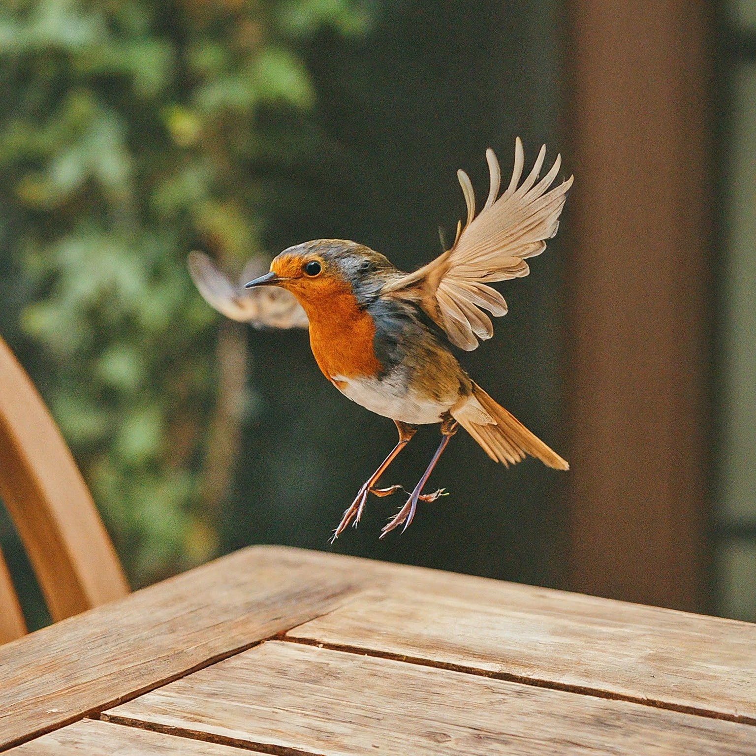 A LITTLE BIRDIE SHOULD HAVE TOLD THEM TO QUIT IT