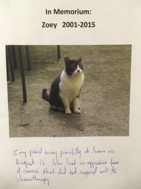 GOODBYE, ZOEY