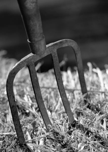 MANAGER ALLEGEDLY ENTERED WOMEN’S DRESSING ROOM WITHOUT KNOCKING