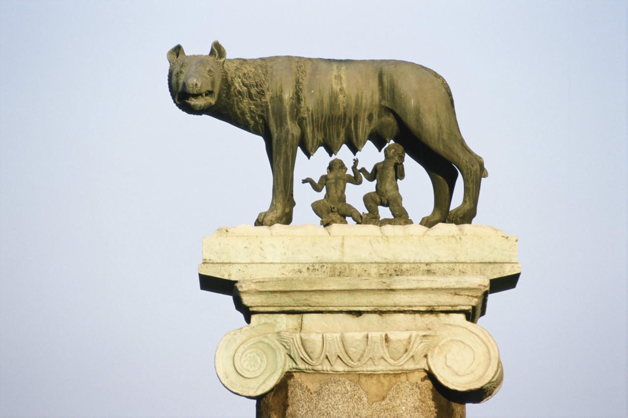 THE FALL OF THE ROMAN