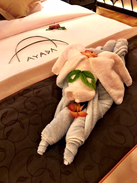 AYADA MALDIVES IS A DOG OF A RESORT